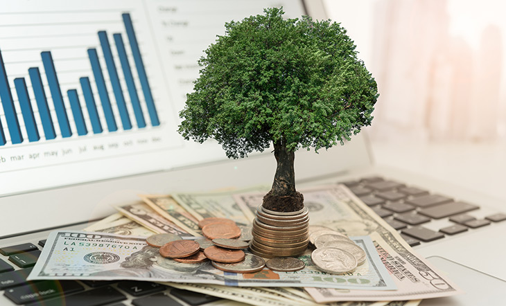 Everything you Need to Know About Lifetime Income Options ...